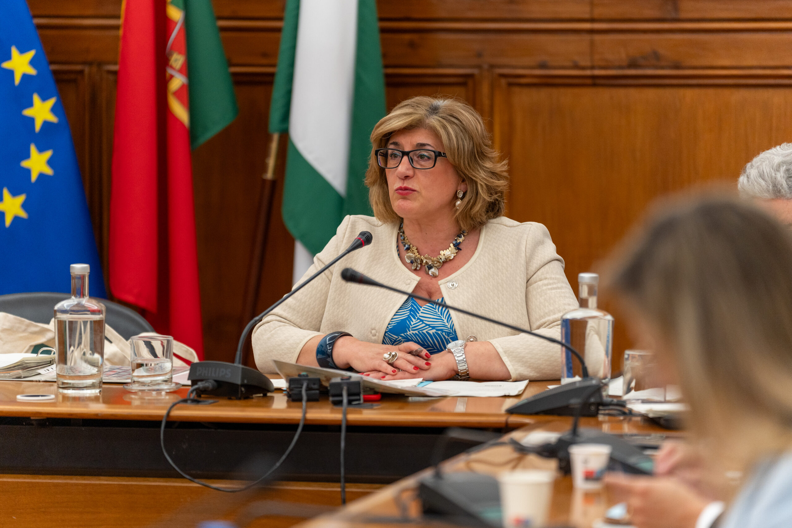 Deputada Manuela Tender encabeça lista única ao Chega de Vila Real ...